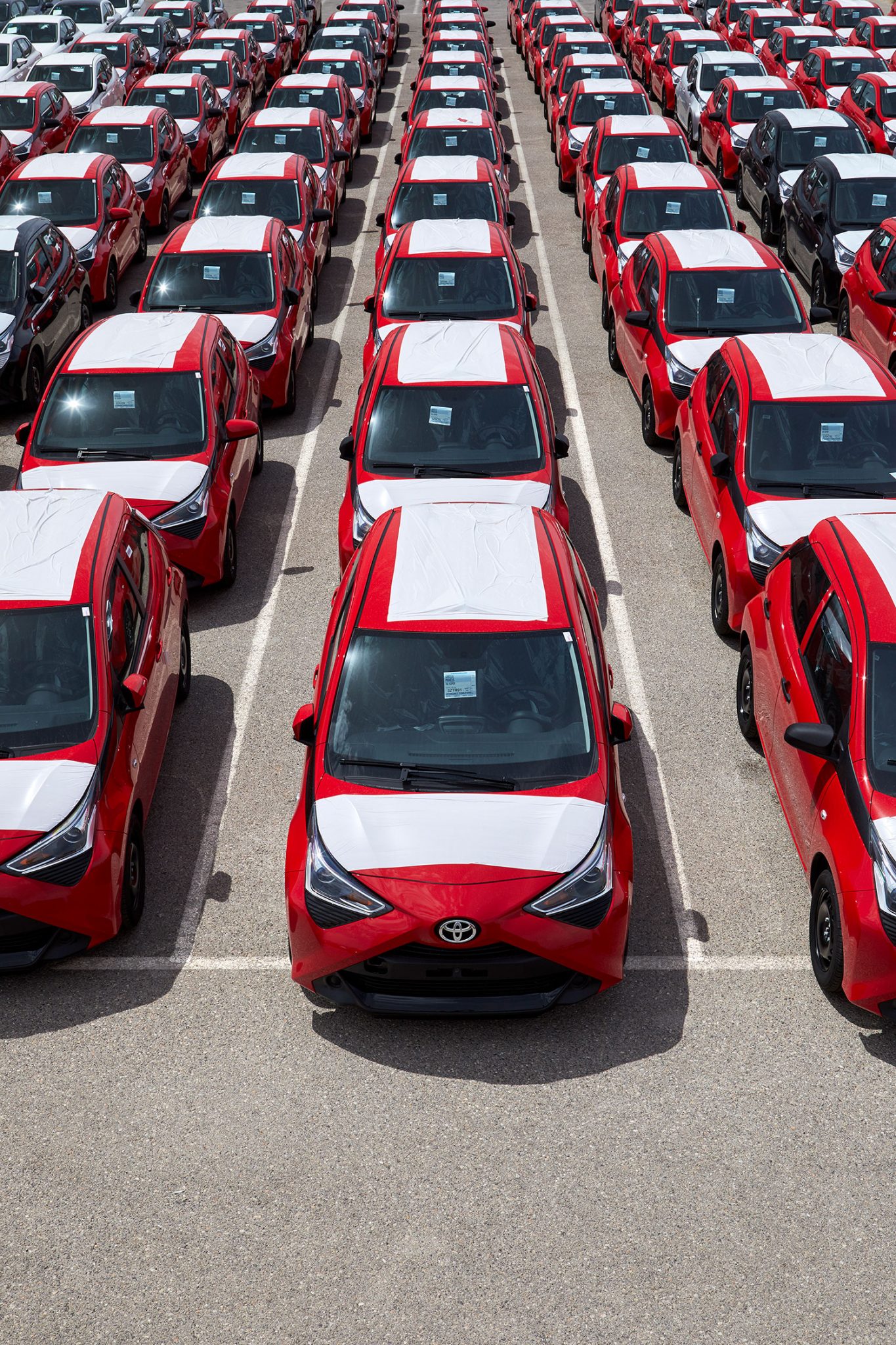 The Company – Ferst